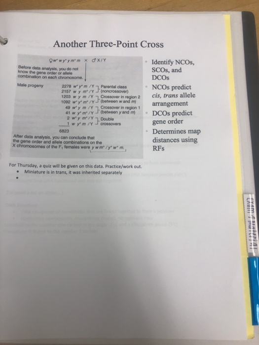 Solved Refer to the results of a three-point cross between | Chegg.com