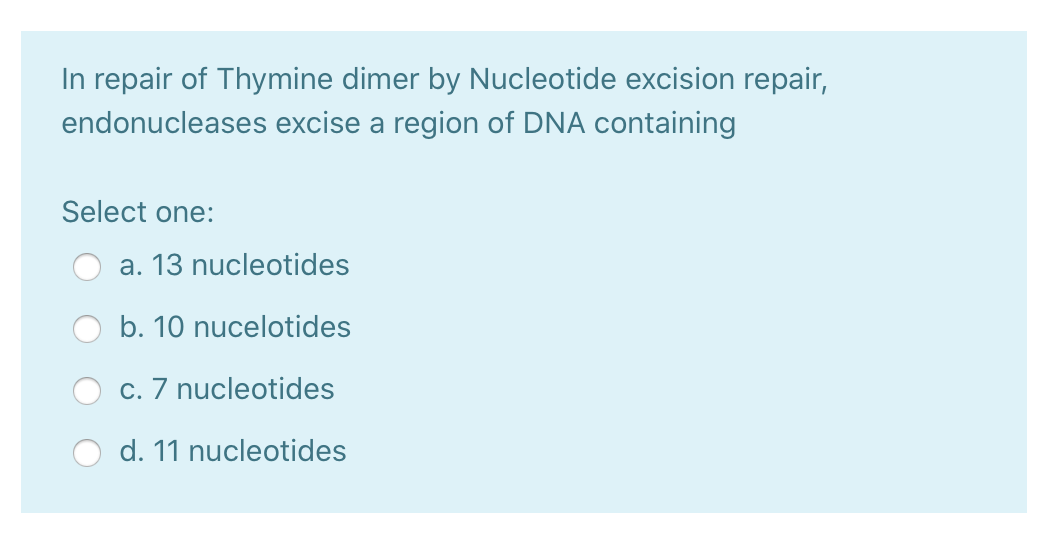 Solved In repair of Thymine dimer by Nucleotide excision | Chegg.com