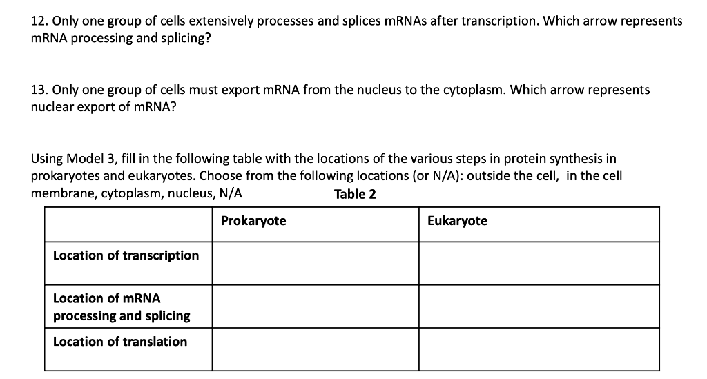 Solved Model 3. The ability to make proteins to carry out | Chegg.com