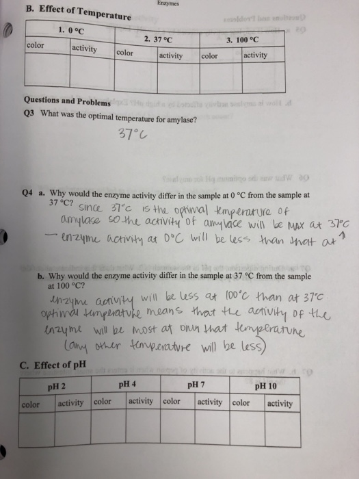 Solved Enzymes Lab: table results for B. Effect of | Chegg.com Solved Enzymes Lab: table results for B. Effect of | Chegg.com