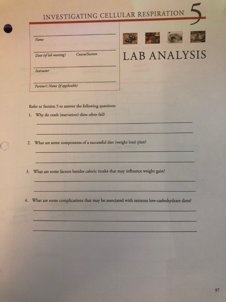 Solved: Lab Analysis Investigating Cellular Respiration Th... | Chegg.com