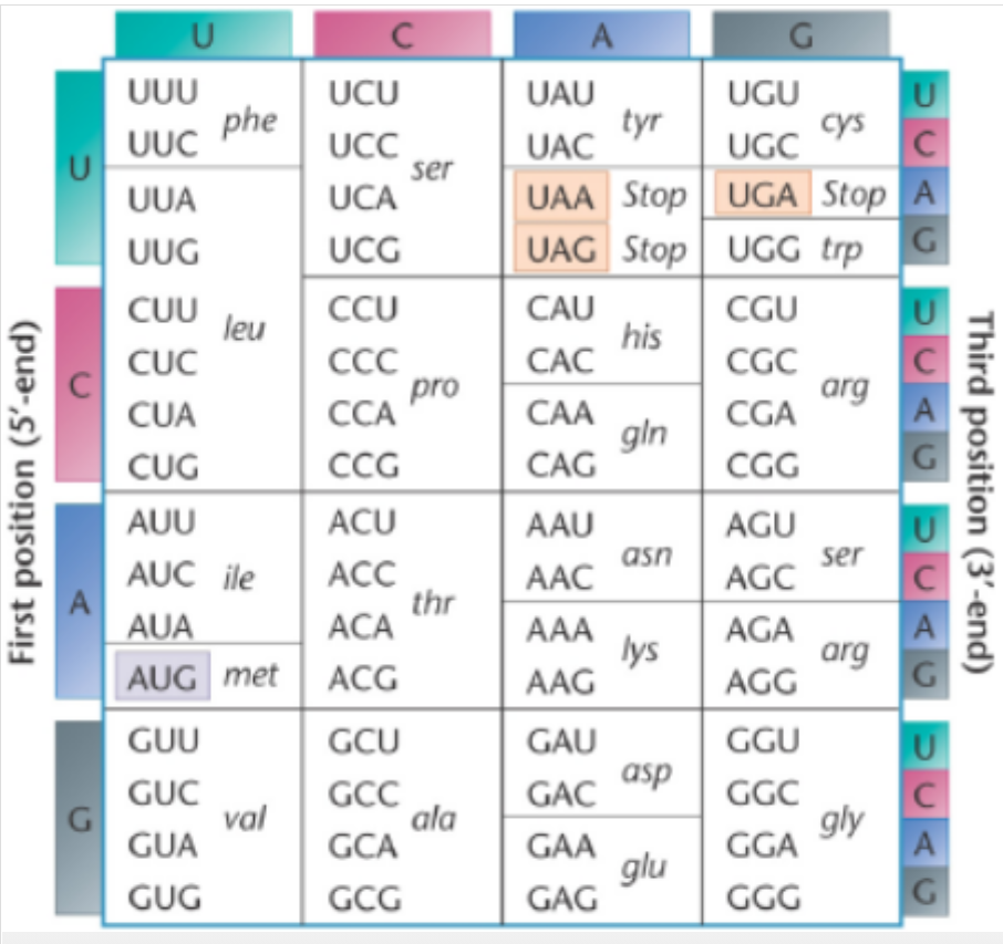 phe C с UUU UCU UUC UCC U ser UUA UCA UUG UCG CUU CCU | Chegg.com