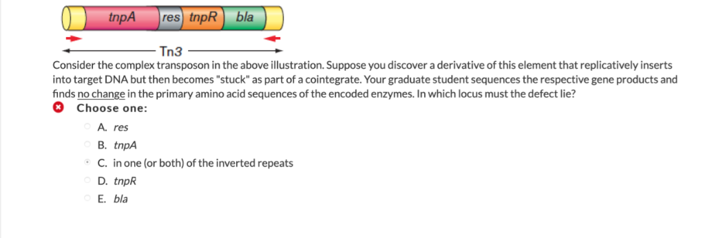 Solved tnpA res tnpR bla Tn3 Consider the complex transposon | Chegg.com
