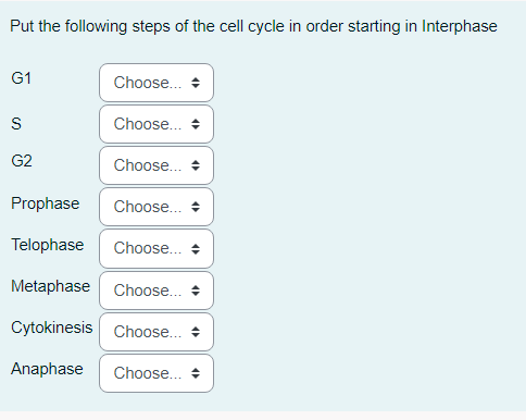 Solved Put the following steps of the cell cycle in order | Chegg.com