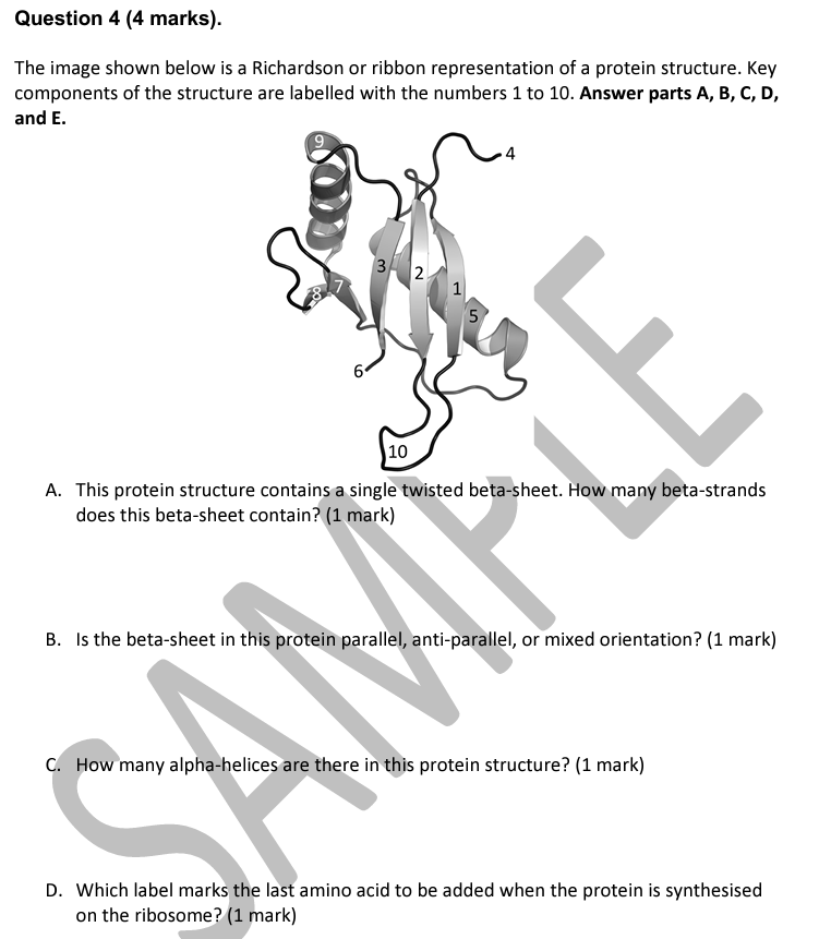 Solved The image shown below is a Richardson or ribbon | Chegg.com