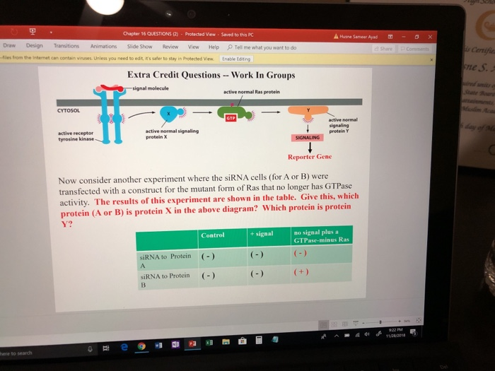 Solved Chapter 16 QUESTIONS (-Protected View Saved to this | Chegg.com