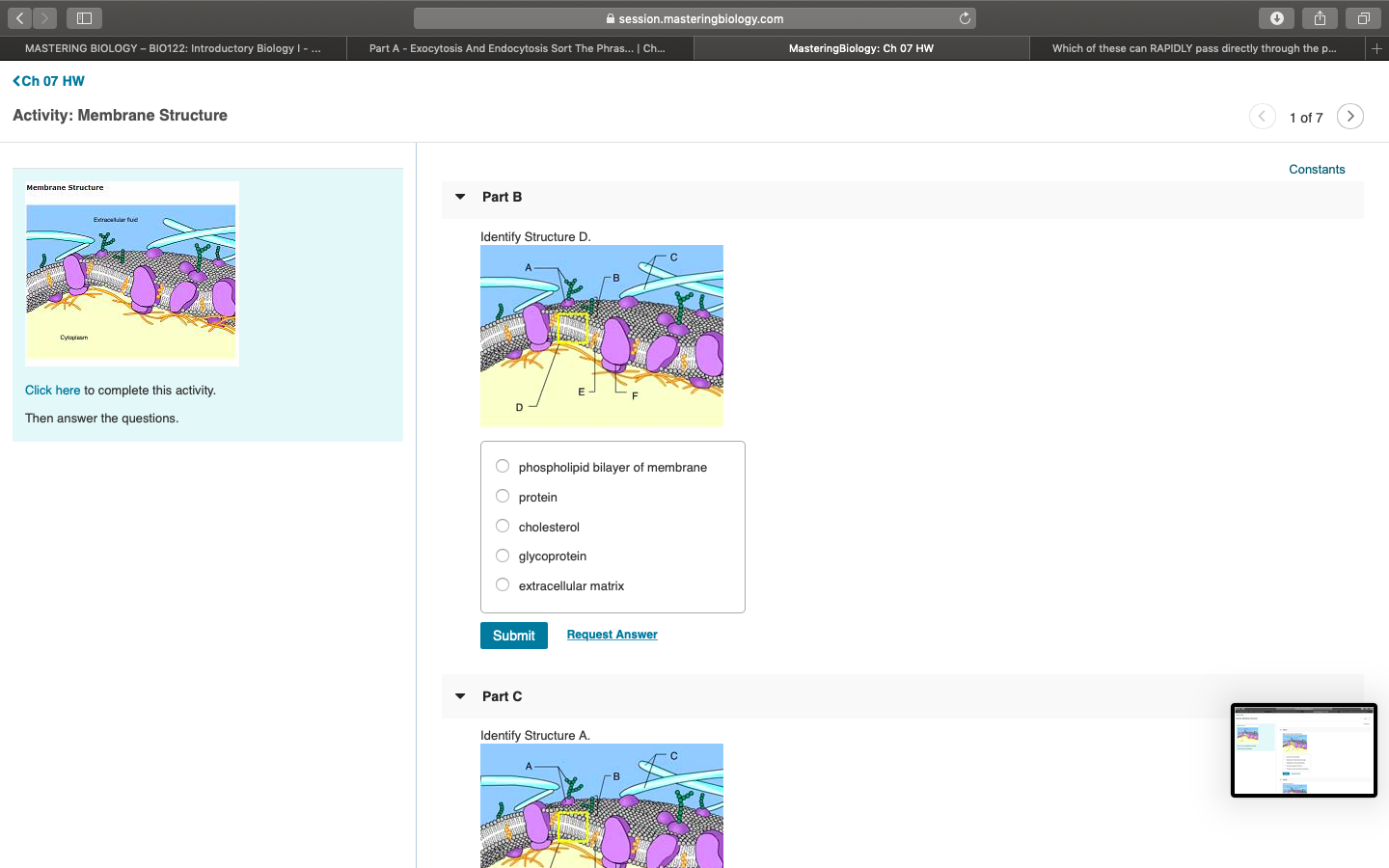 Solved: Session.mastering Biology.com Which Of These Can R... | Chegg.com