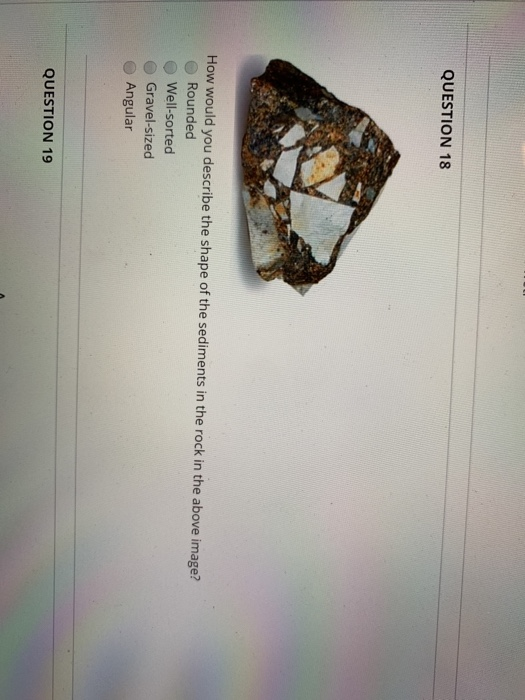 Solved QUESTION 18 How would you describe the shape of the | Chegg.com