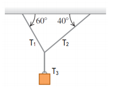 Solved 1. If the weight of the hanging mass is 100 N, | Chegg.com