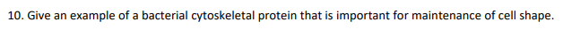 Solved 10. Give an example of a bacterial cytoskeletal | Chegg.com