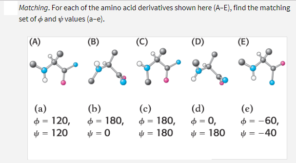 Matching. For each of the amino acid derivatives | Chegg.com
