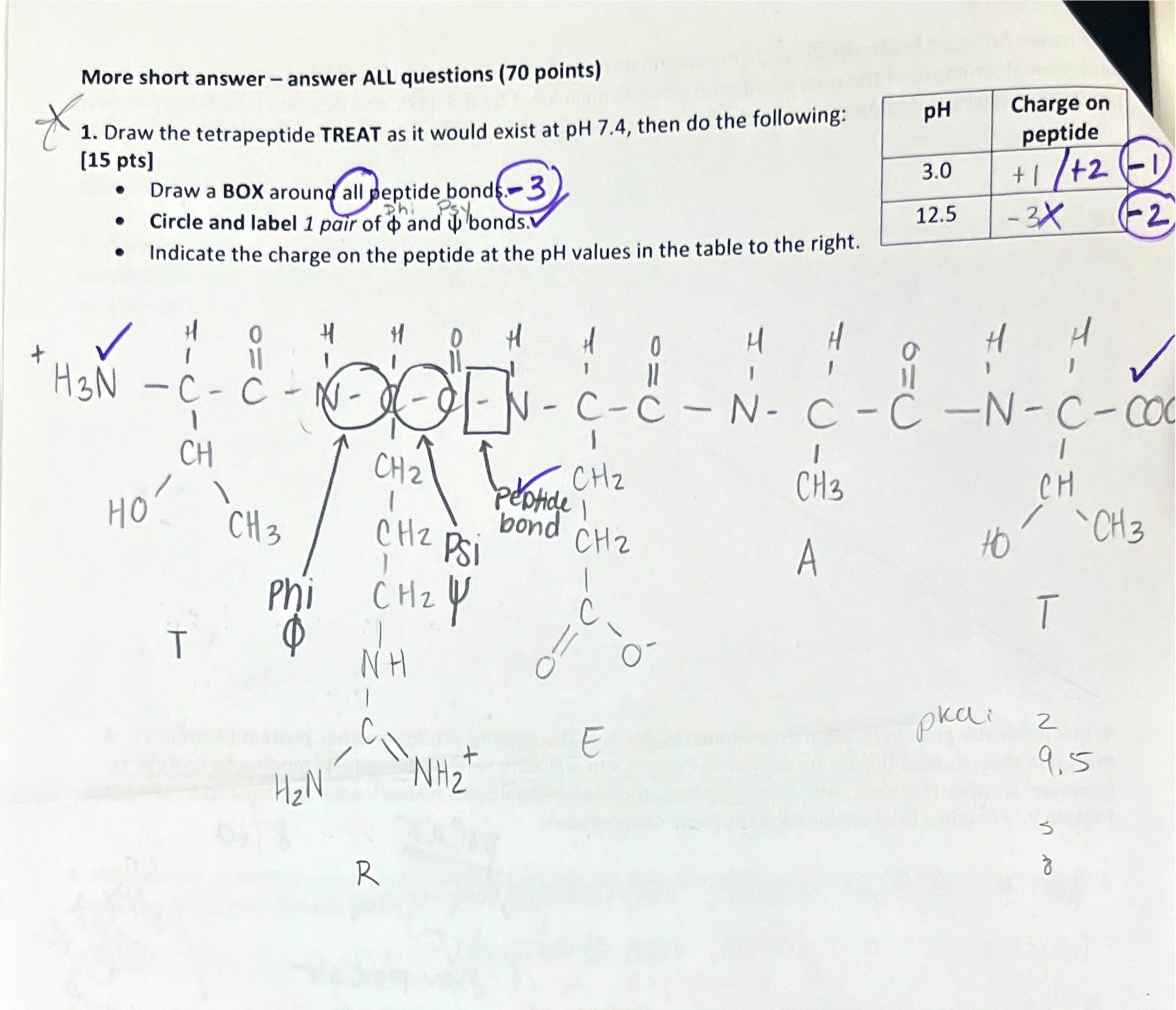 Solved 1. Draw the tetrapeptide TREAT as it would exist at | Chegg.com