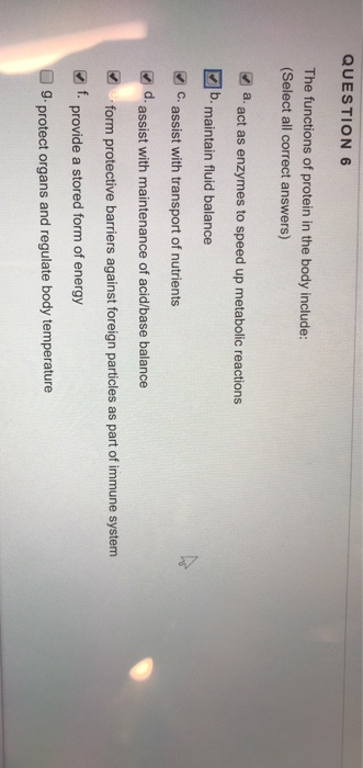 Solved QUESTION 6 The functions of protein in the body | Chegg.com