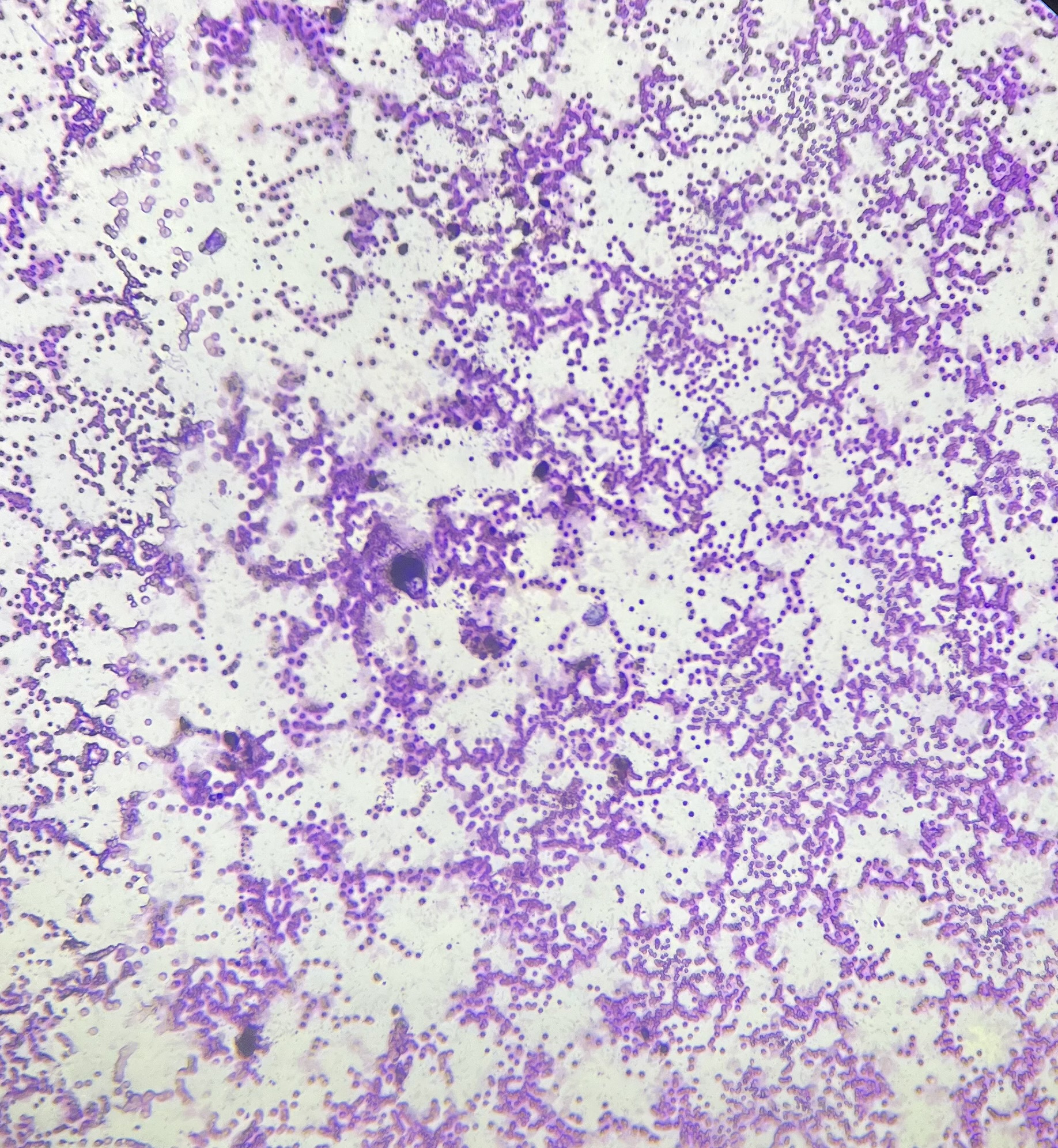 Please help me.Cell counts and viability: Take your | Chegg.com