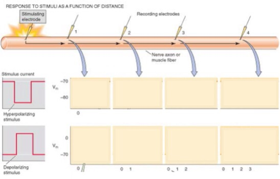 Solved Problem 3 [15 Points] [A-3 ptsl From a circuit-design | Chegg.com