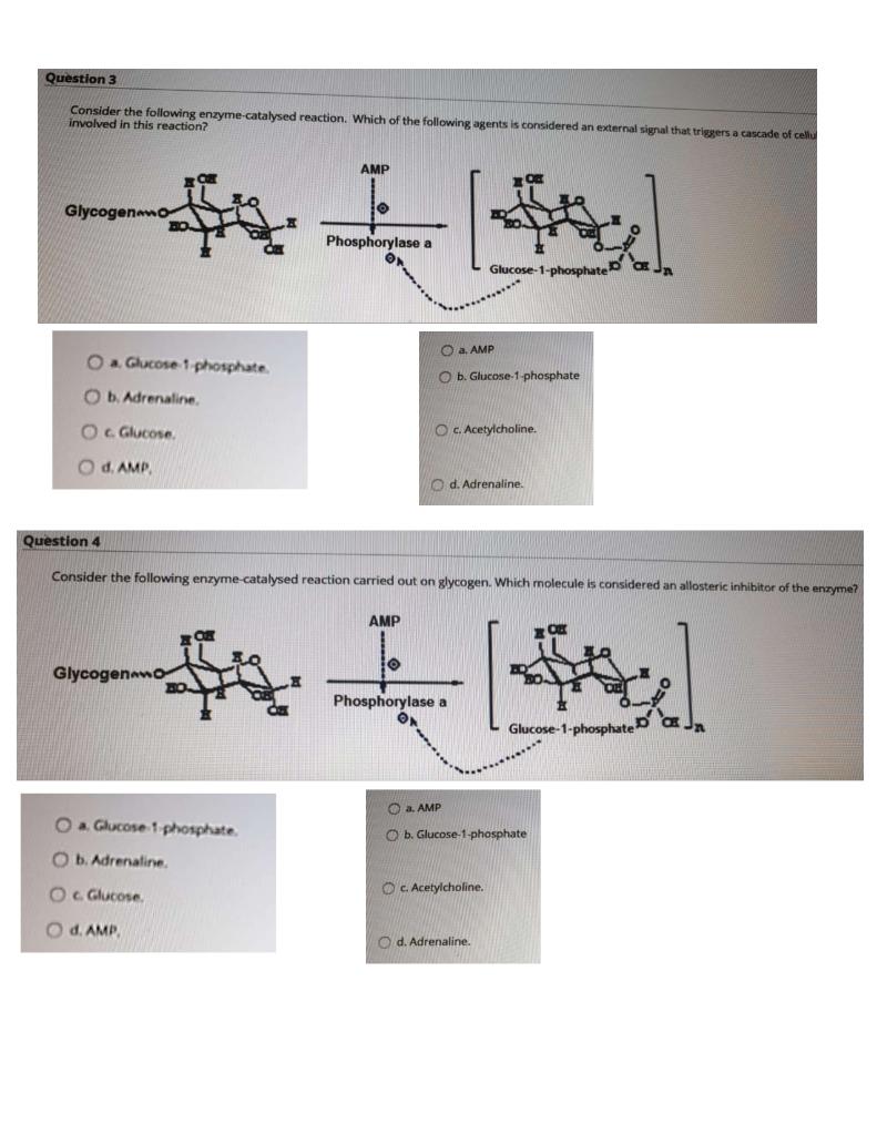 Consider the following enzyme-catalysed reaction. | Chegg.com