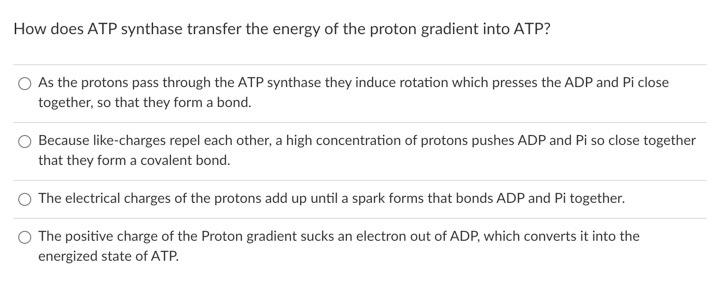 Solved How does ATP synthase transfer the energy of the | Chegg.com
