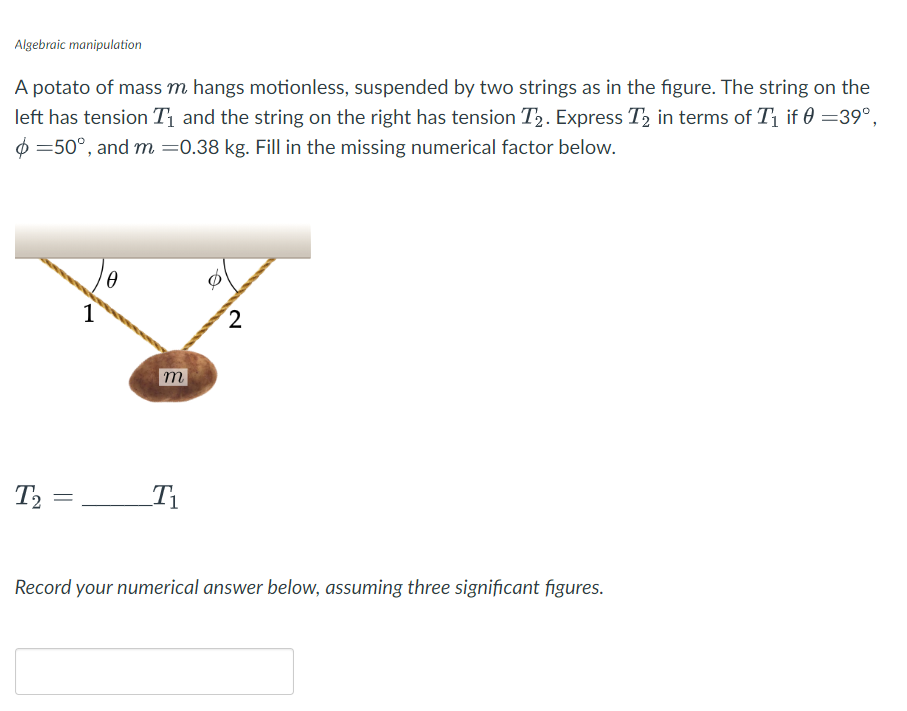 Solved A potato of mass m hangs motionless, suspended by two | Chegg.com