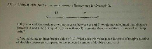 Solved (4) 12. Using a three-point cross, you construct a | Chegg.com