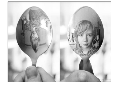 Solved The following figure shows the reflection of a | Chegg.com