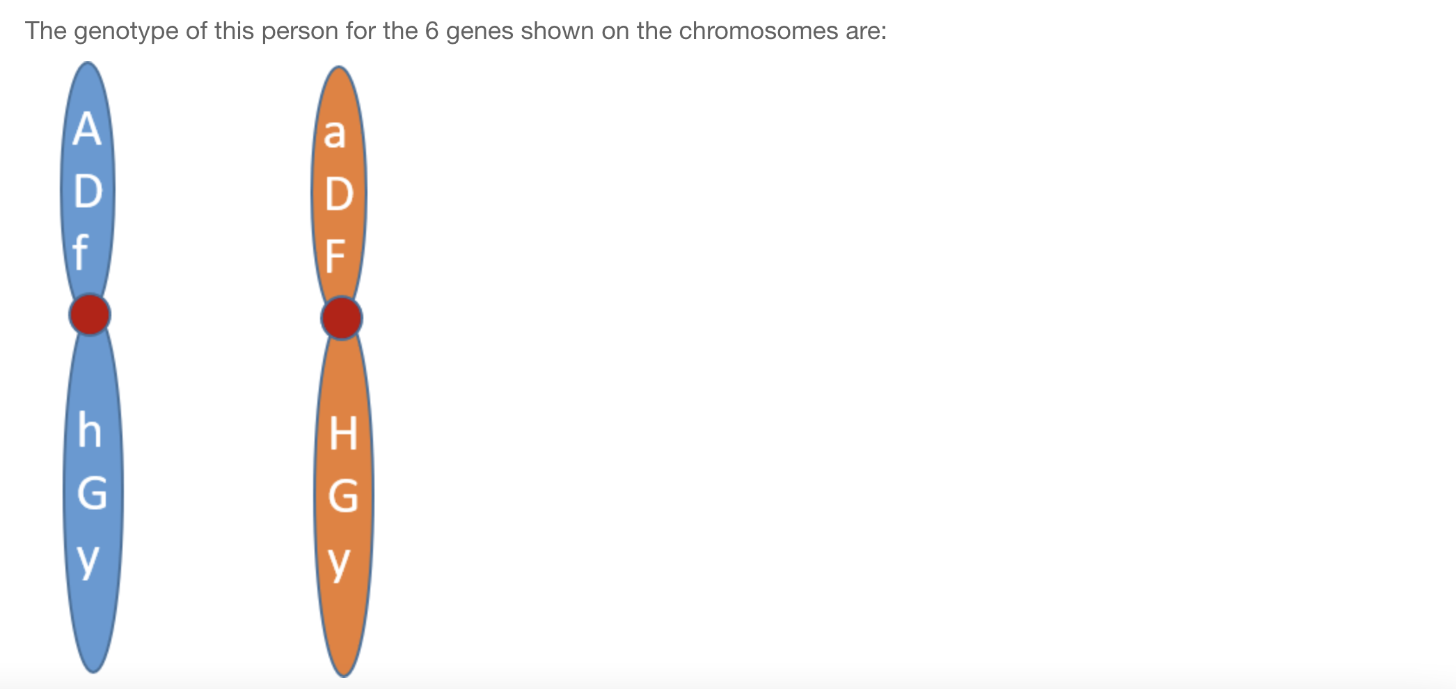 Solved The genotype of this person for the 6 genes shown on | Chegg.com