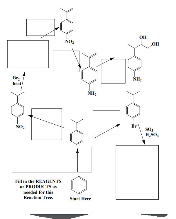 Solved ОН NO2 OH Br2 heat NH2 NH2 NO2 Br SO3 H2S04 Fill in | Chegg.com