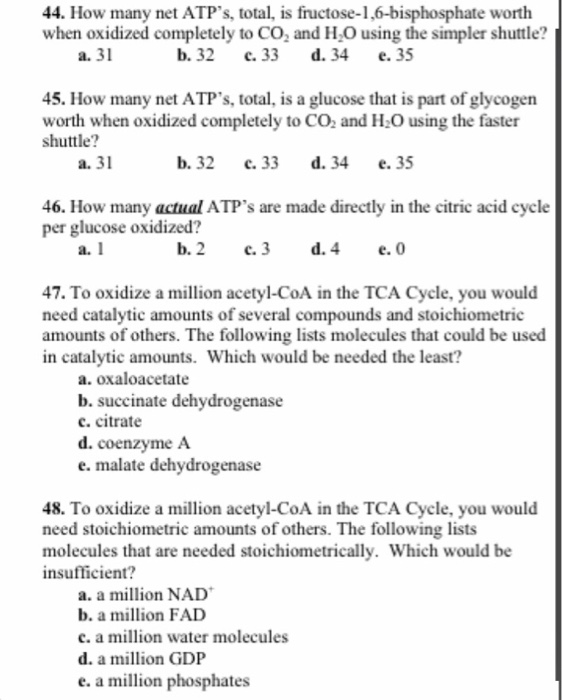 Solved 44. How many net ATP's, total, is | Chegg.com