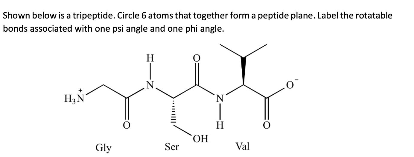 Solved Shown below is a tripeptide. Circle 6 atoms that | Chegg.com