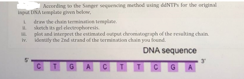 Solved According to the Sanger sequencing method using | Chegg.com