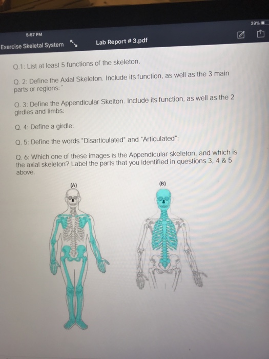 Solved 39%- 5:57 PM \. 团山 Exercise Skeletal System Lab | Chegg.com