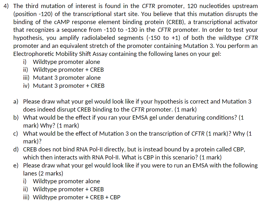 Solved 4) The third mutation of interest is found in the | Chegg.com