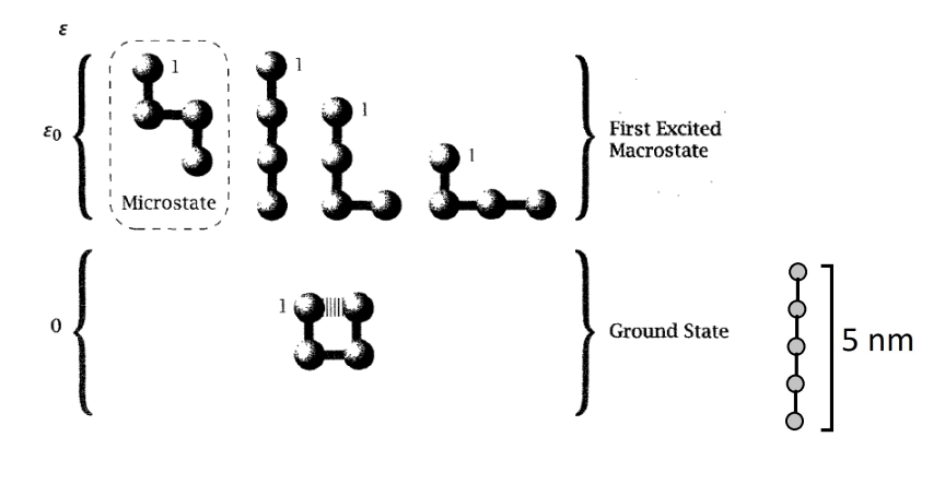 Draw the configurations for a 5 beaded polymer chain | Chegg.com
