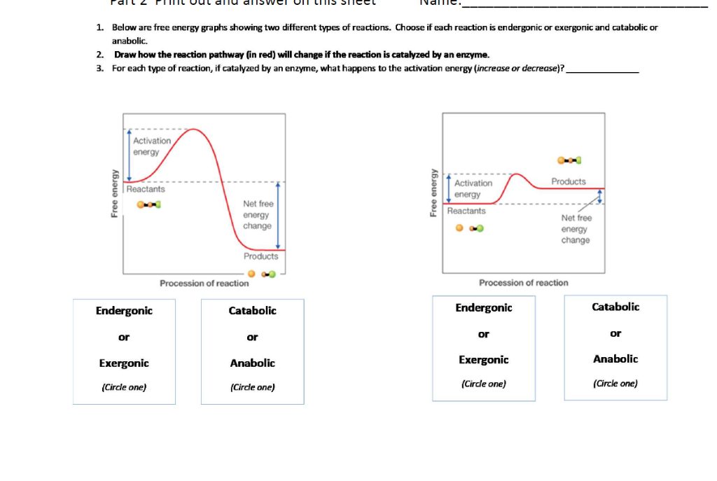 Solved 1. Below are free energy graphs showing two different | Chegg.com