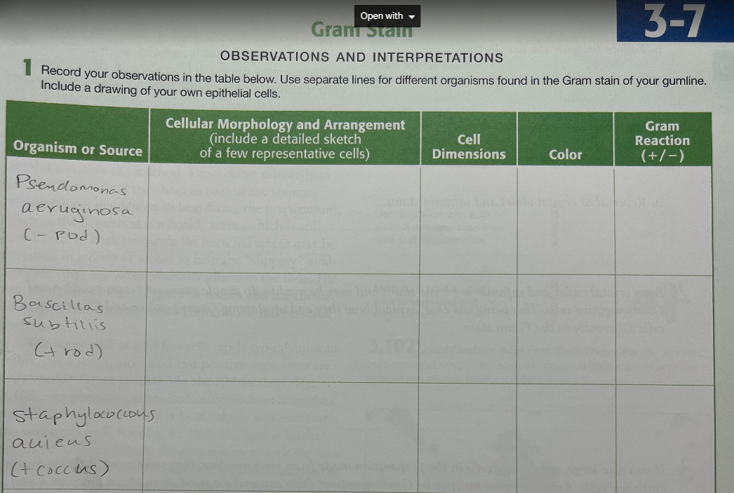Solved OBSERVATIONS AND INTERPRETATIONS Record your | Chegg.com