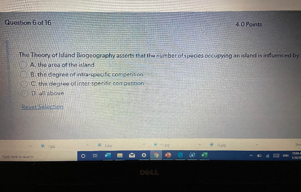 Solved Question 6 of 16 4.0 Points The Theory of Island | Chegg.com