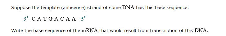 Solved Suppose the template (antisense) ﻿strand of some DNA | Chegg.com