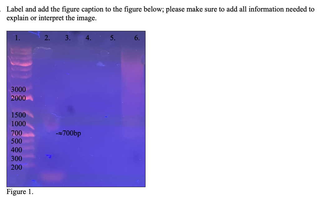 [Solved]: Label and add the figure caption to the figure b