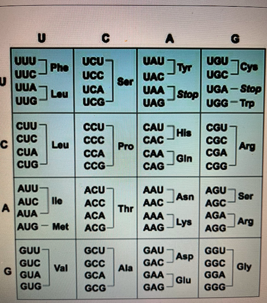 Solved Given the following table, name three amino acids | Chegg.com Solved Given the following table, name three amino acids | Chegg.com