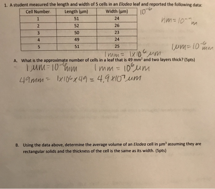 Solved 1. A student measured the length and width of 5 cells | Chegg.com