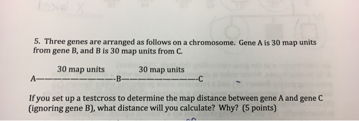 Solved 5. Three genes are arranged as follows on a | Chegg.com