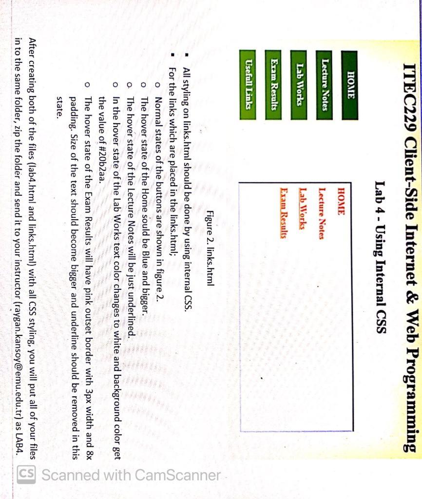 Solved ITEC 229-LAB 4 - Using Internal CSS For Lab 4 you | Chegg.com