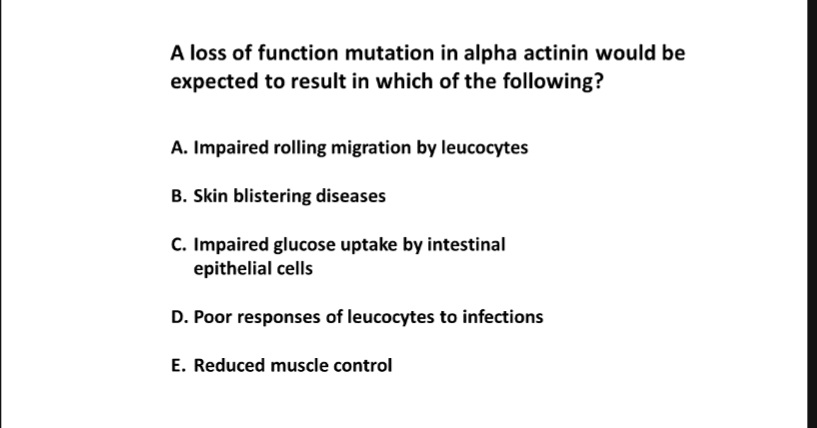 Solved A loss of function mutation in alpha actinin would be | Chegg.com