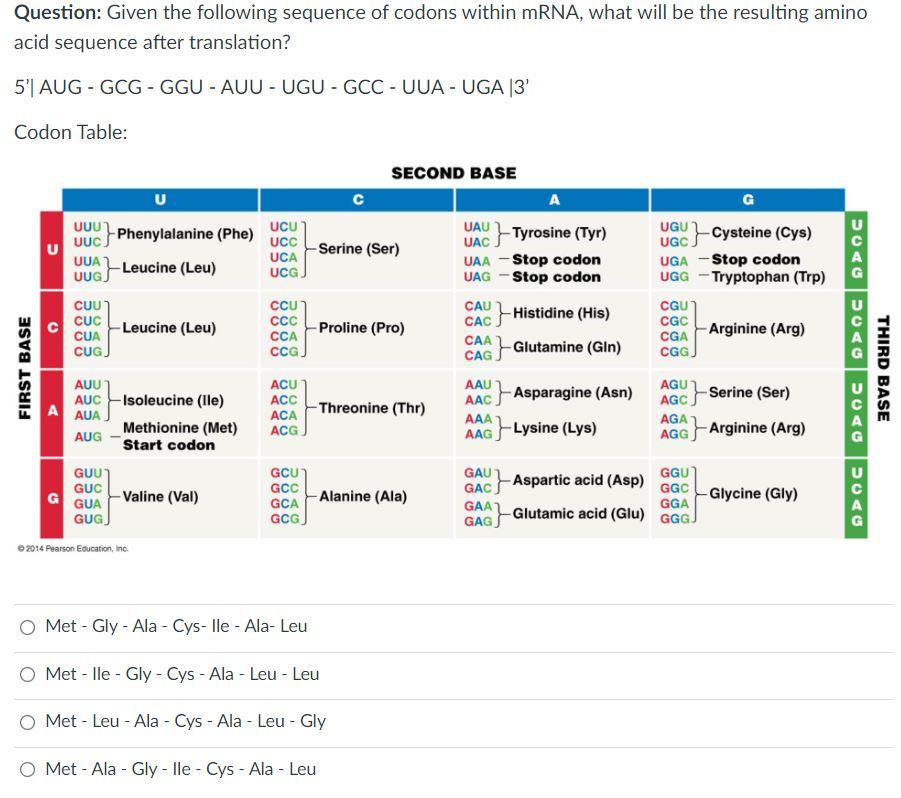Solved Question: Given the following sequence of codons | Chegg.com