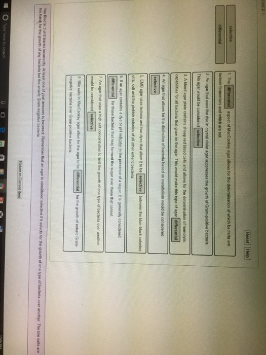 Solved What is the correct label. | Chegg.com