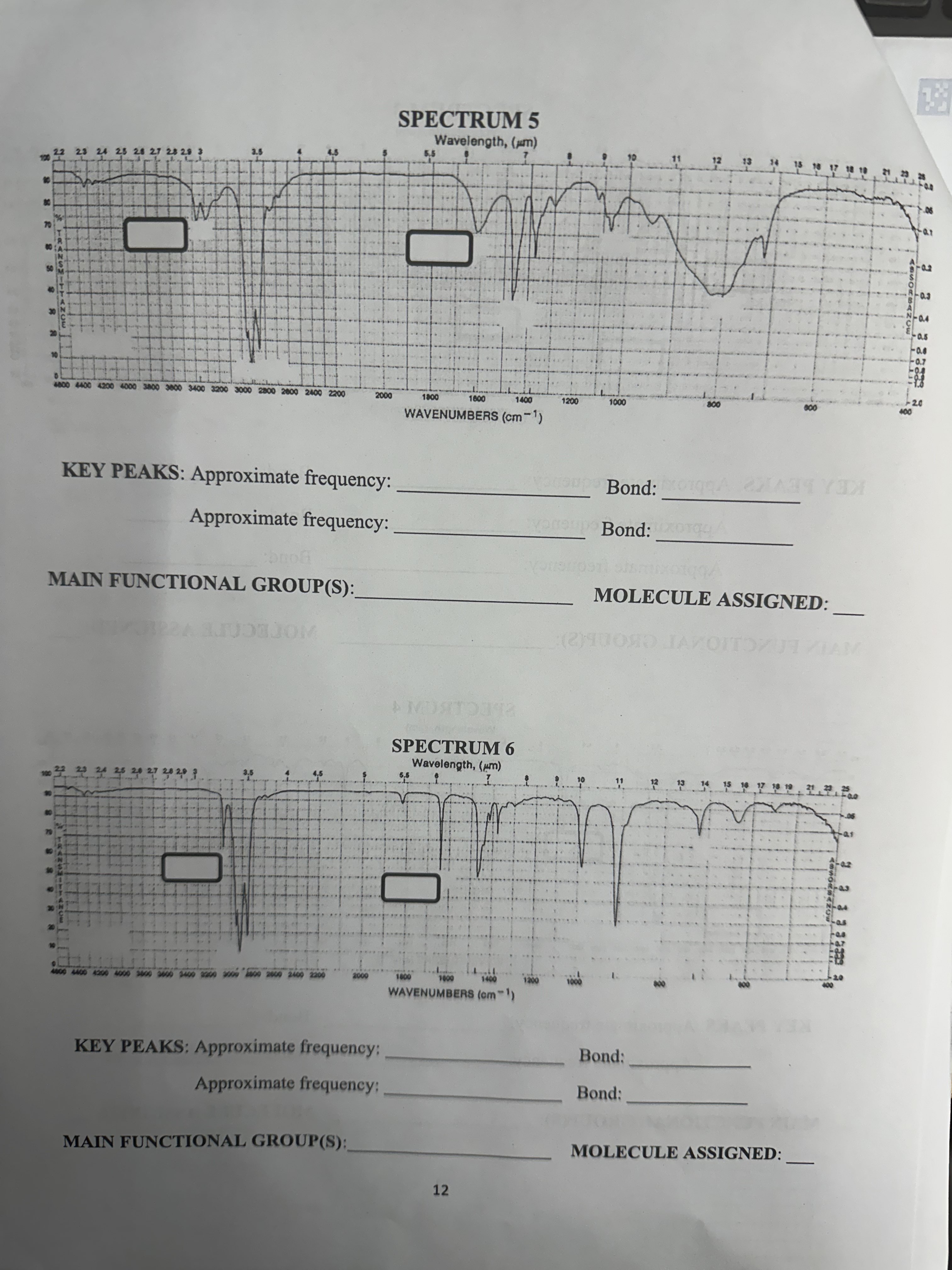 Solved SPECTRUM 5KEY PEAKS: Approximate | Chegg.com