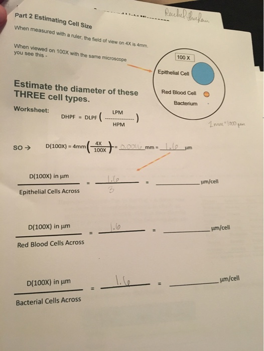 Solved when measured with a ruler, the field of view on 4X | Chegg.com