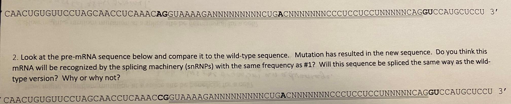 Solved Look at the pre-mRNA sequence below and compare it to | Chegg.com
