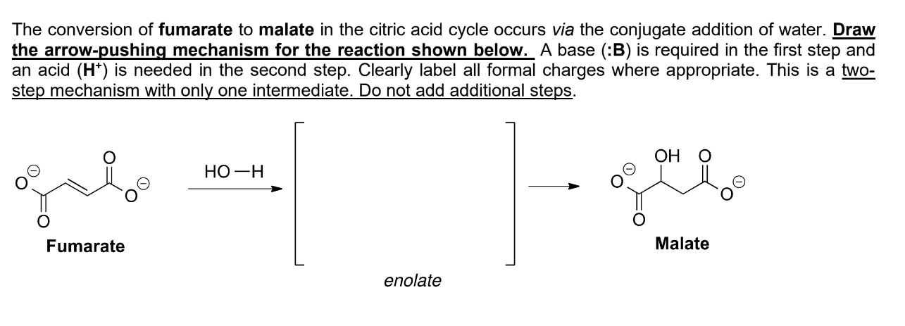 Solved The conversion of fumarate to malate in the citric | Chegg.com