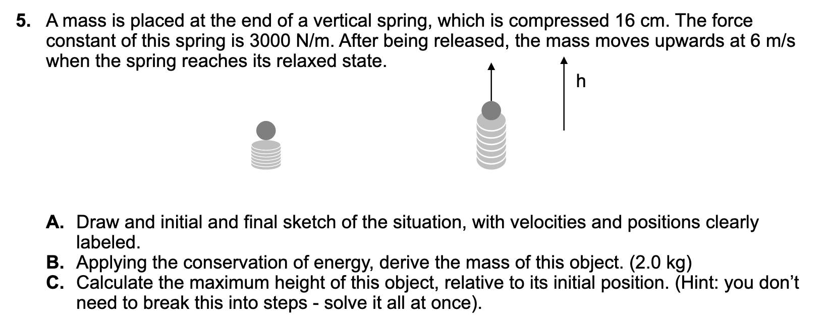 Solved 5. A mass is placed at the end of a vertical spring, | Chegg.com