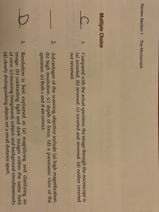 Solved Review Section 1 The Microscope Multiple Choice | Chegg.com